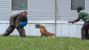 Police Patrol Canine Handler Course - Southern Police Canine, Inc.